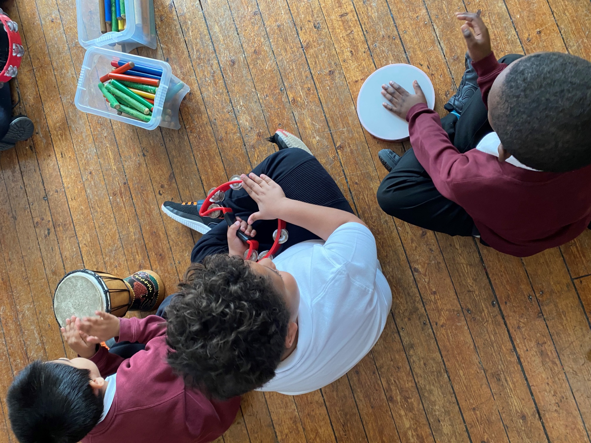 Dalmain Primary School - Curriculum